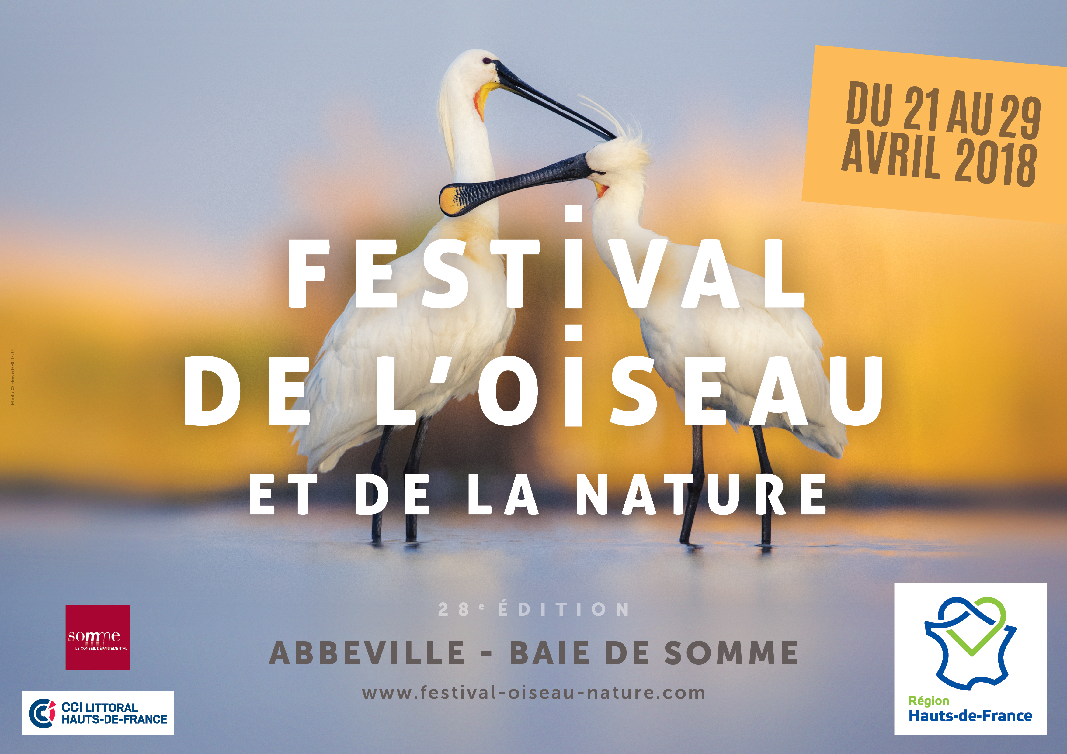 29ème édition du 13 au 22 avril 2019 - Festival de l'oiseau et de la nature 29ème édition du 13 au 22 avril 2019 - Festival de l'oiseau et de la nature